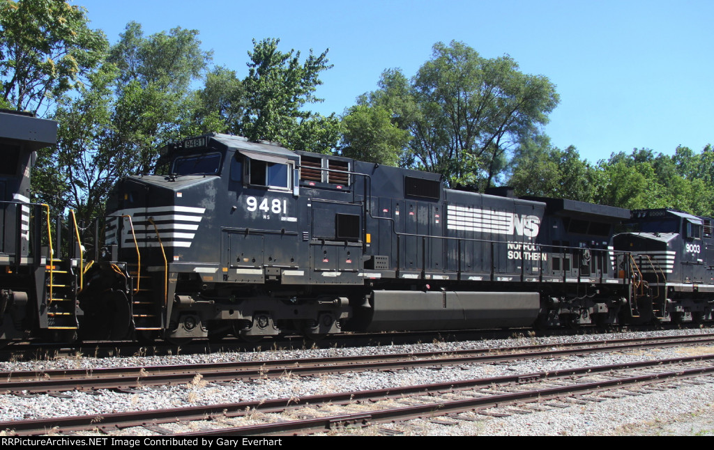 NS D9-40CW #9481